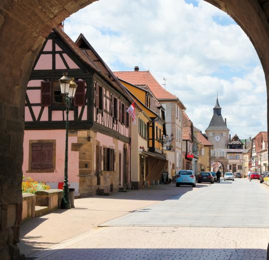 Rosheim - La rose d'Alsace